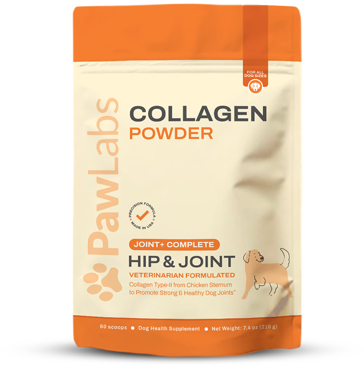 Aging Dog Blog | Best Dog Collagen Supplements of 2025 Products Review